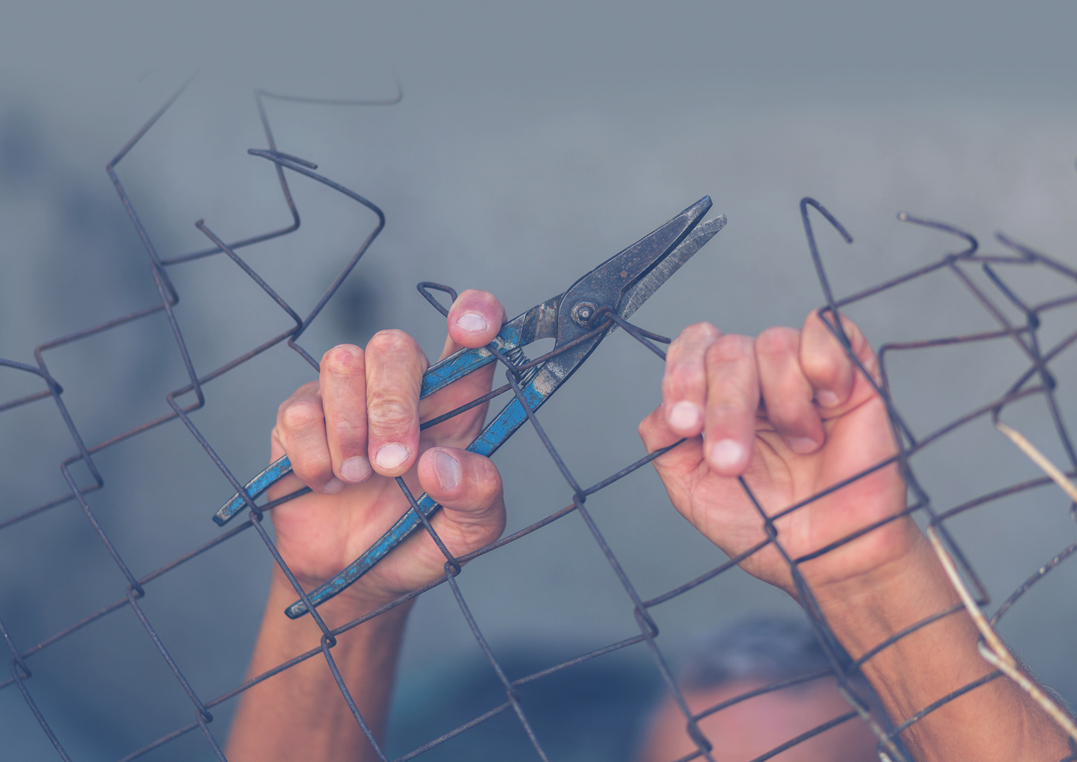 A Closer Look at Open Borders | Kravology