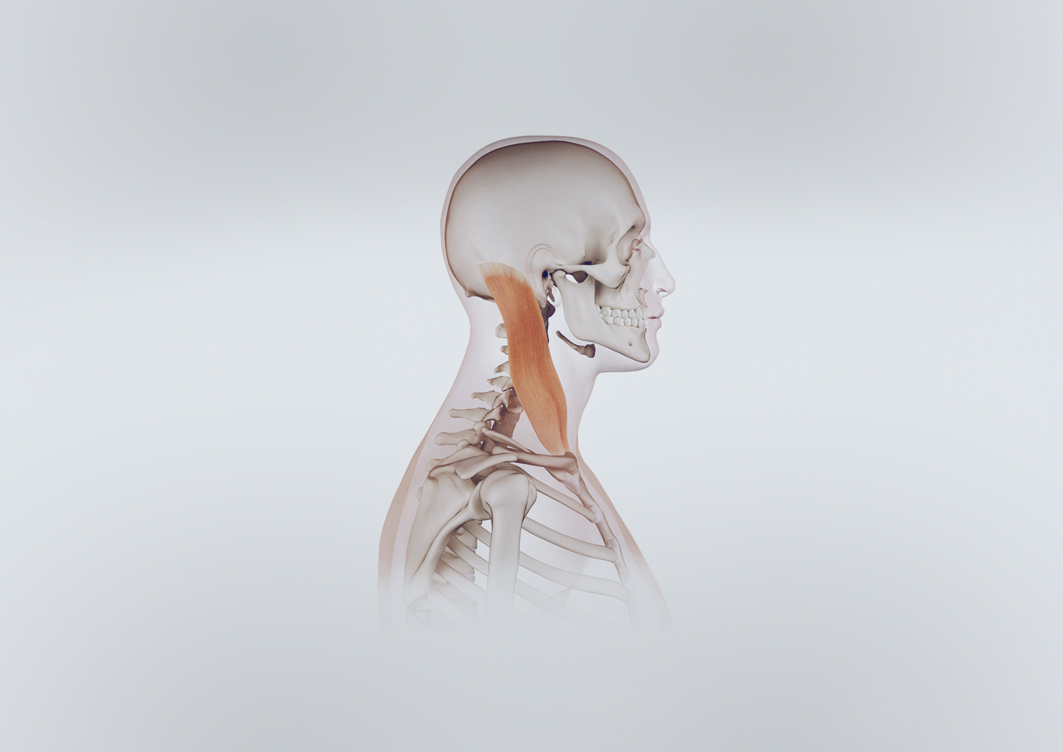 Headlock From the Side: Plan B | Kravology