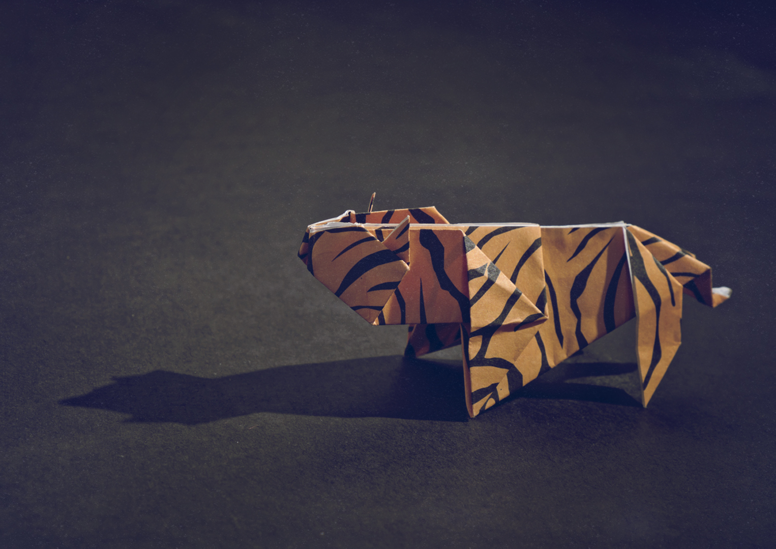 Paper Tiger | Kravology